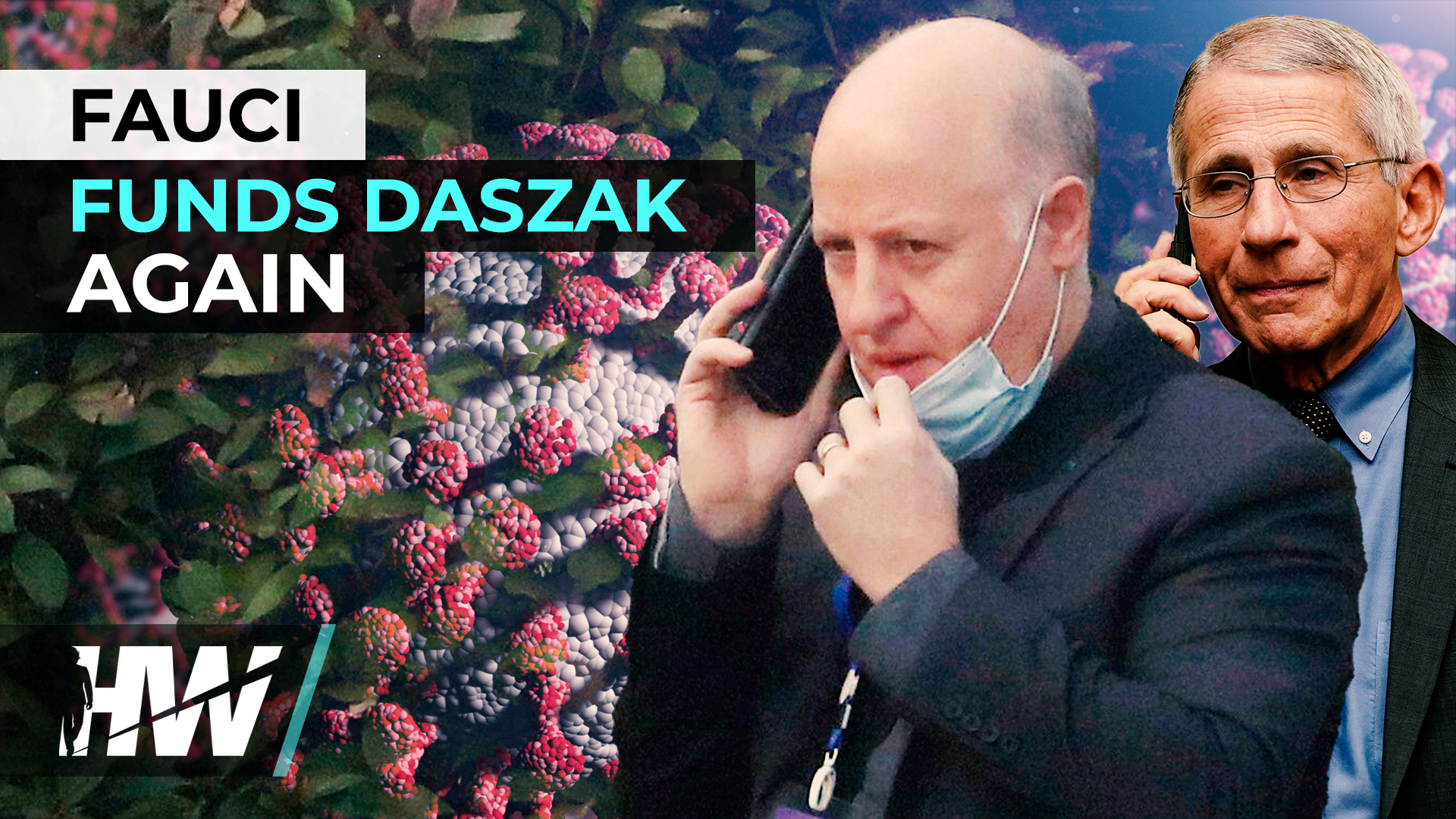 Fauci Funds Daszak Again The Highwire