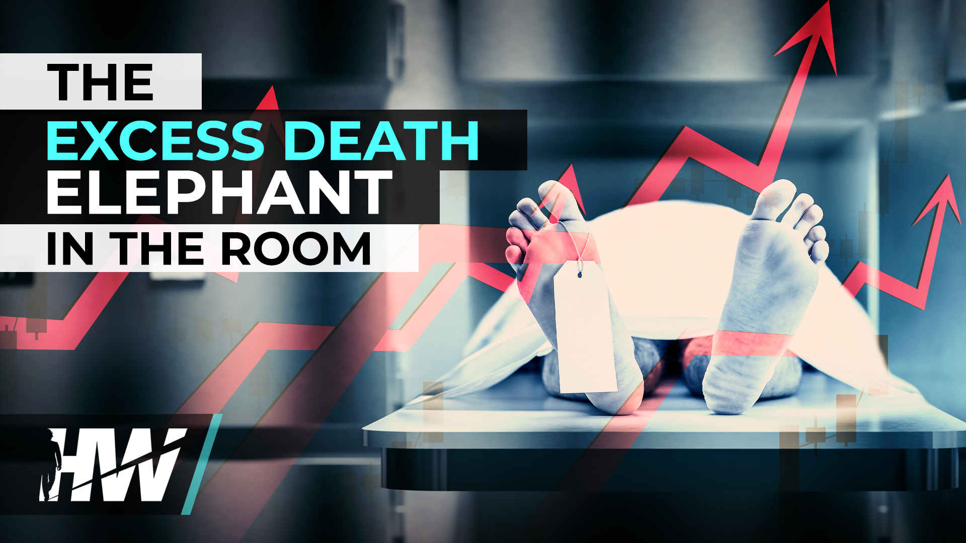 THE EXCESS DEATH ELEPHANT IN THE ROOM - The HighWire