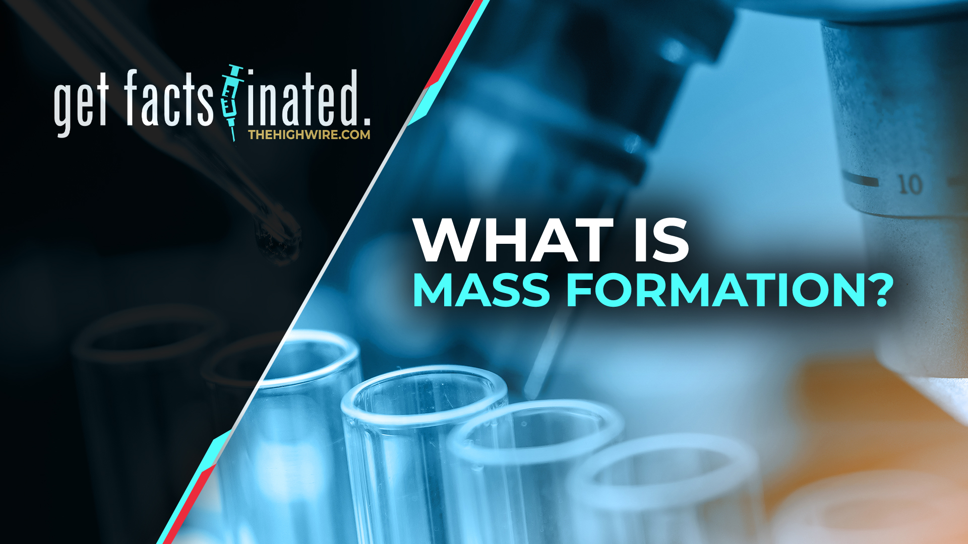 WHAT IS MASS FORMATION? - The HighWire