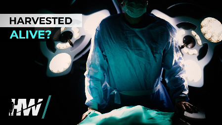 The HighWire | Watch